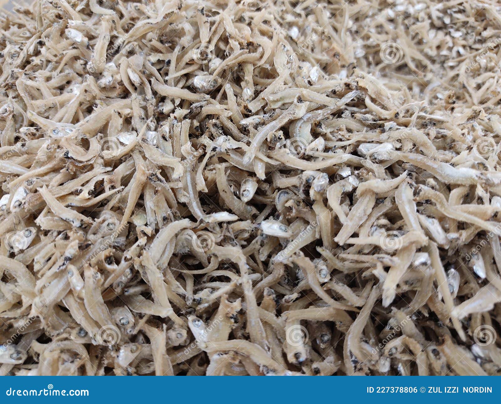 ¡Descubre los deliciosos anchoas de l'Escala! Exquisito sabor a mar ...