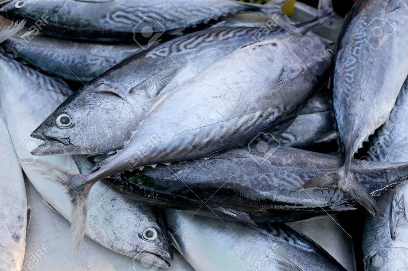 ¡Descubre el sabor único del atún de aleta azul!