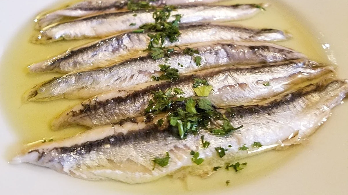 Descubre al Rey del Boquerón: frescura y sabor del mar en cada bocado