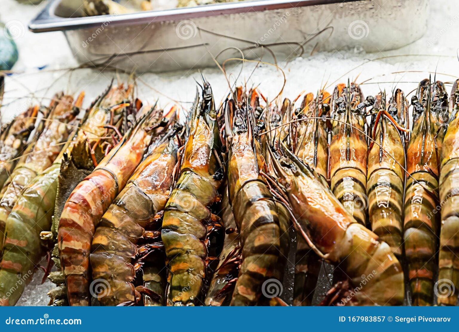 ¡Compra el kilo de camarón grande más fresco y sabroso!