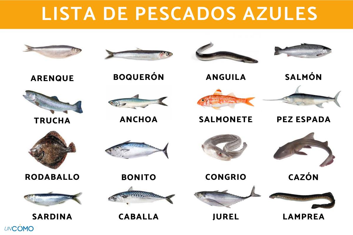 Descubre la verdadera distinción entre pez y pescado