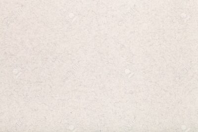 Descubre la belleza de la hoja color café claro: Naturaleza en tonos ...