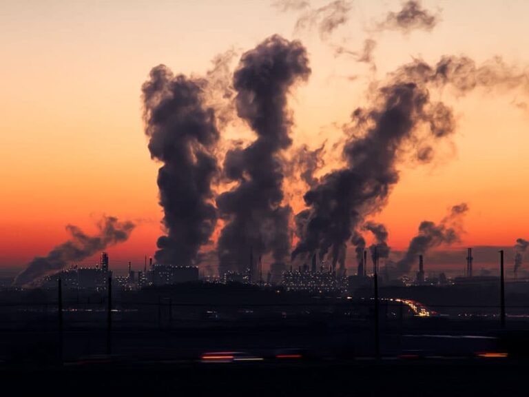Descubre Cómo La Electricidad Impacta En El Medio Ambiente Y Toma
