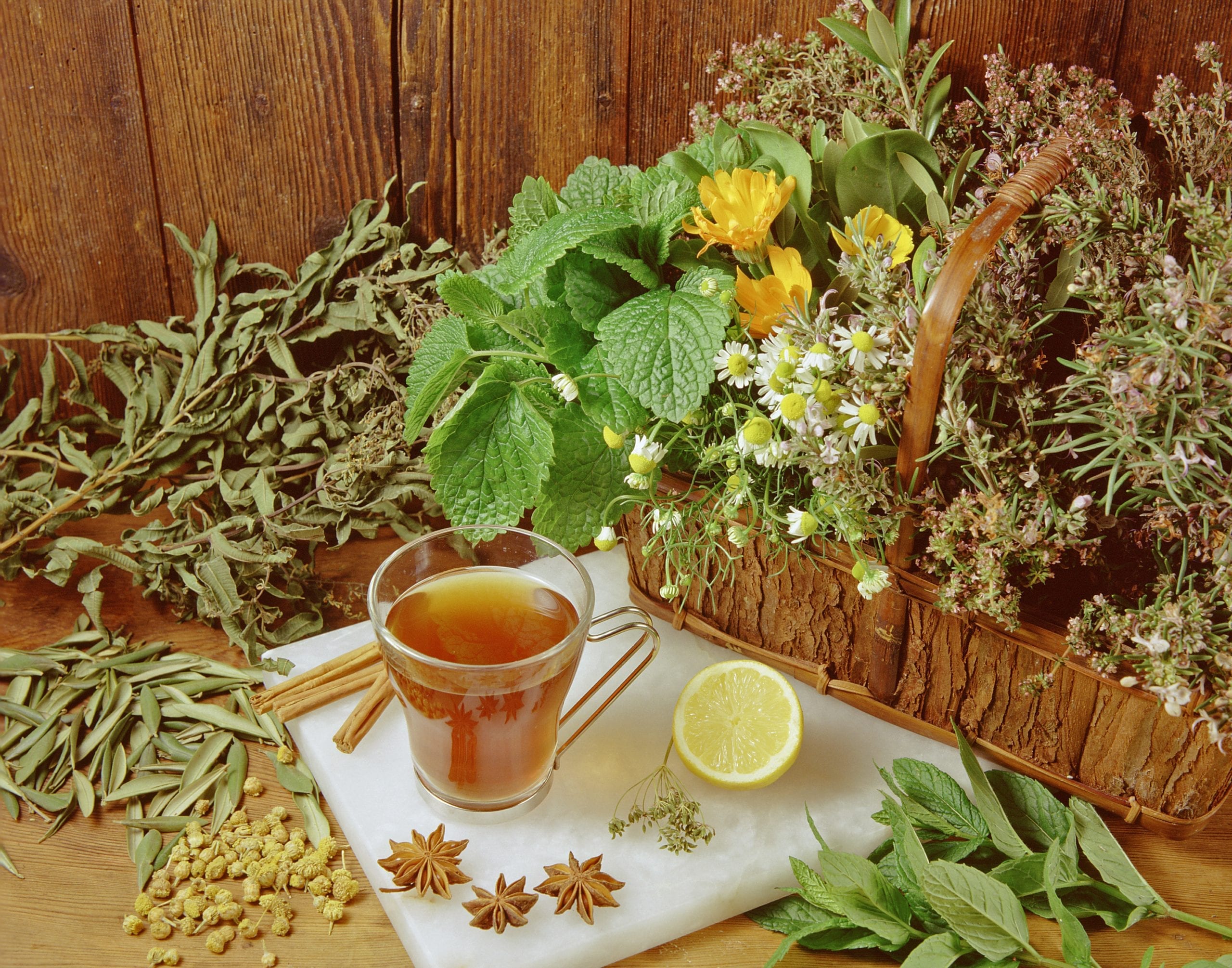 Alivia tu tos con las mejores infusiones naturales