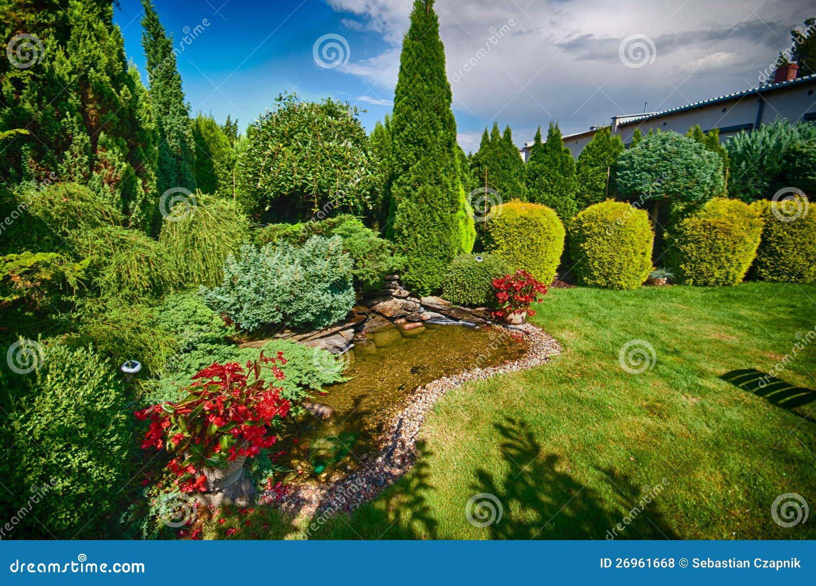 Transforma tu jardín en un paraíso verde con tierra de calidad para ...