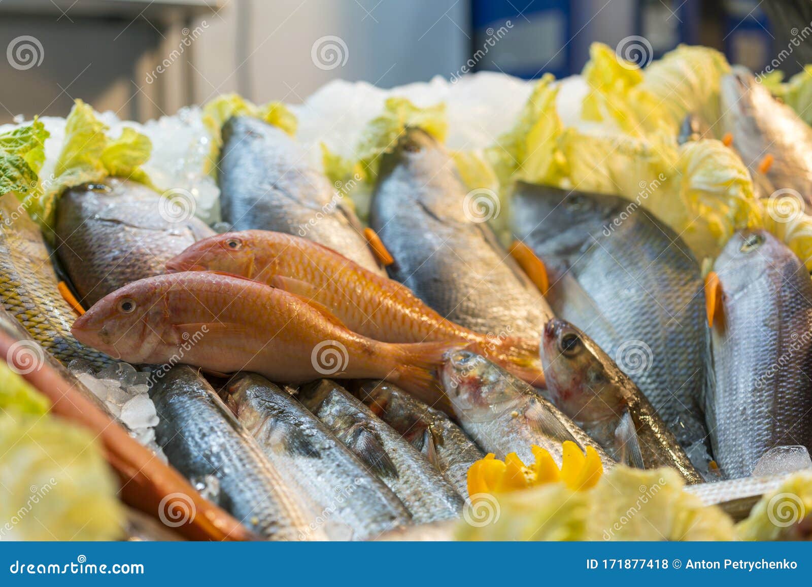 Descubre el sabor fresco y saludable del mar para ti