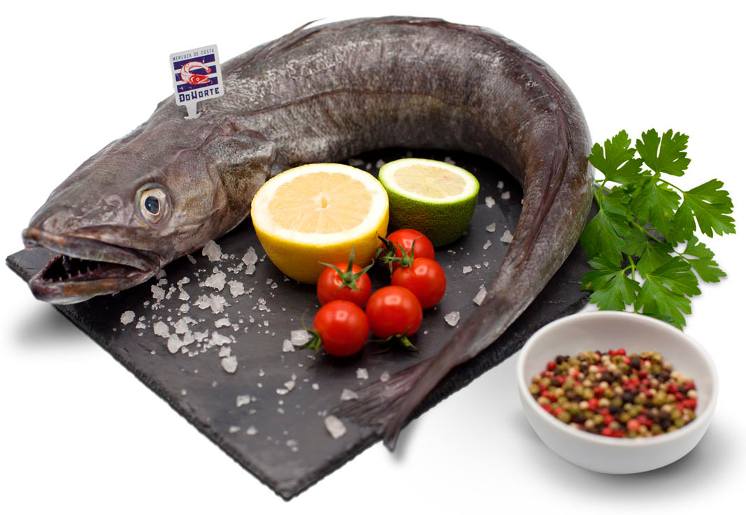 Descubre el mejor pescado: ¡Merluza, una delicia marina!