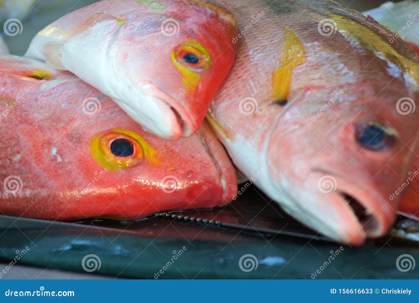 Pescado naranja rosado: Delicioso y saludable para tu dieta