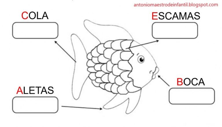 Descubre las partes del pez con diversión y aprendizaje para niños