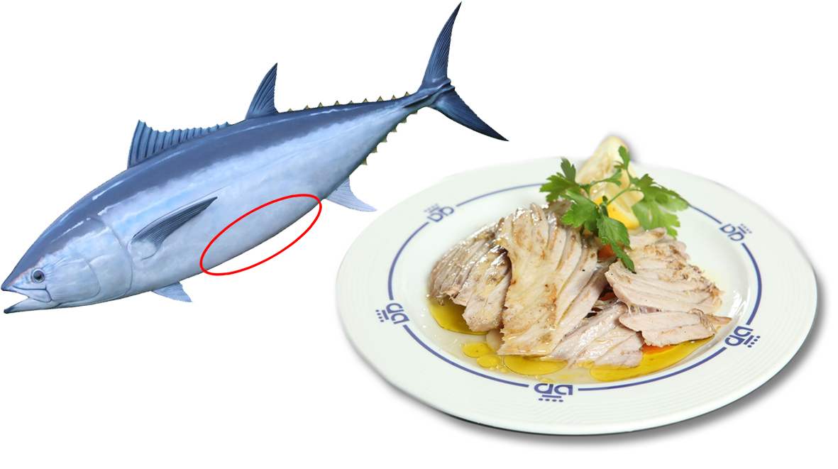 Delicioso y saludable: disfruta de la ventresca de atún a la plancha